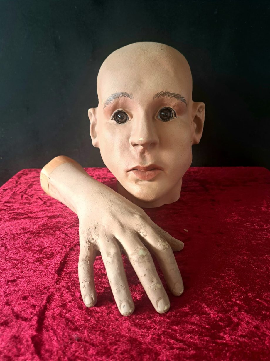 Ex Animatronic Head and Hand – Norfolk Vintiques