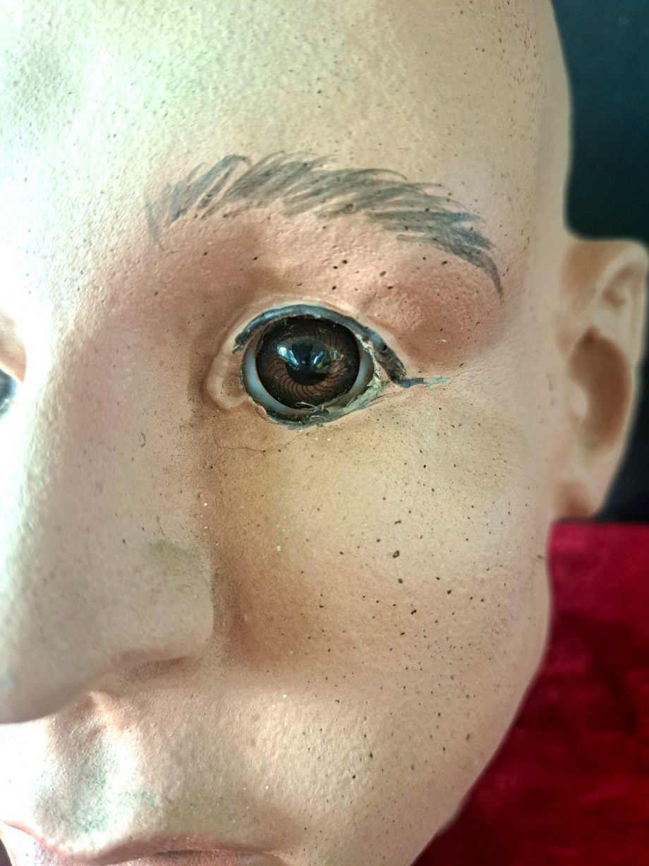 Ex Animatronic Head and Hand – Norfolk Vintiques