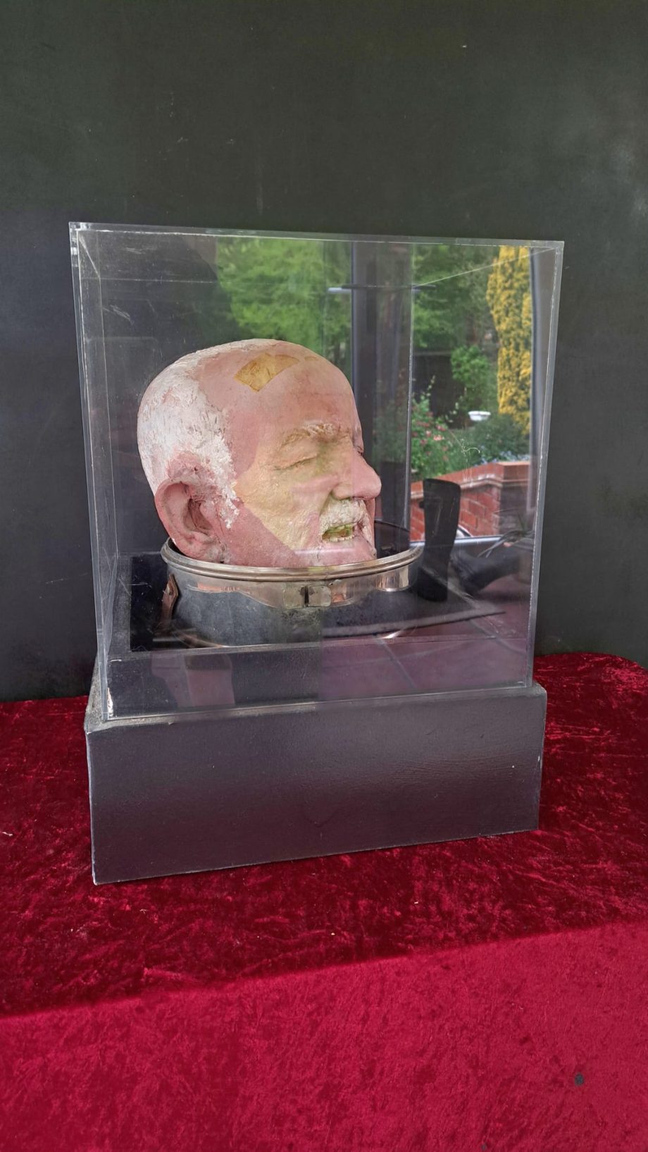 Movie Prop Severed Head – Norfolk Vintiques